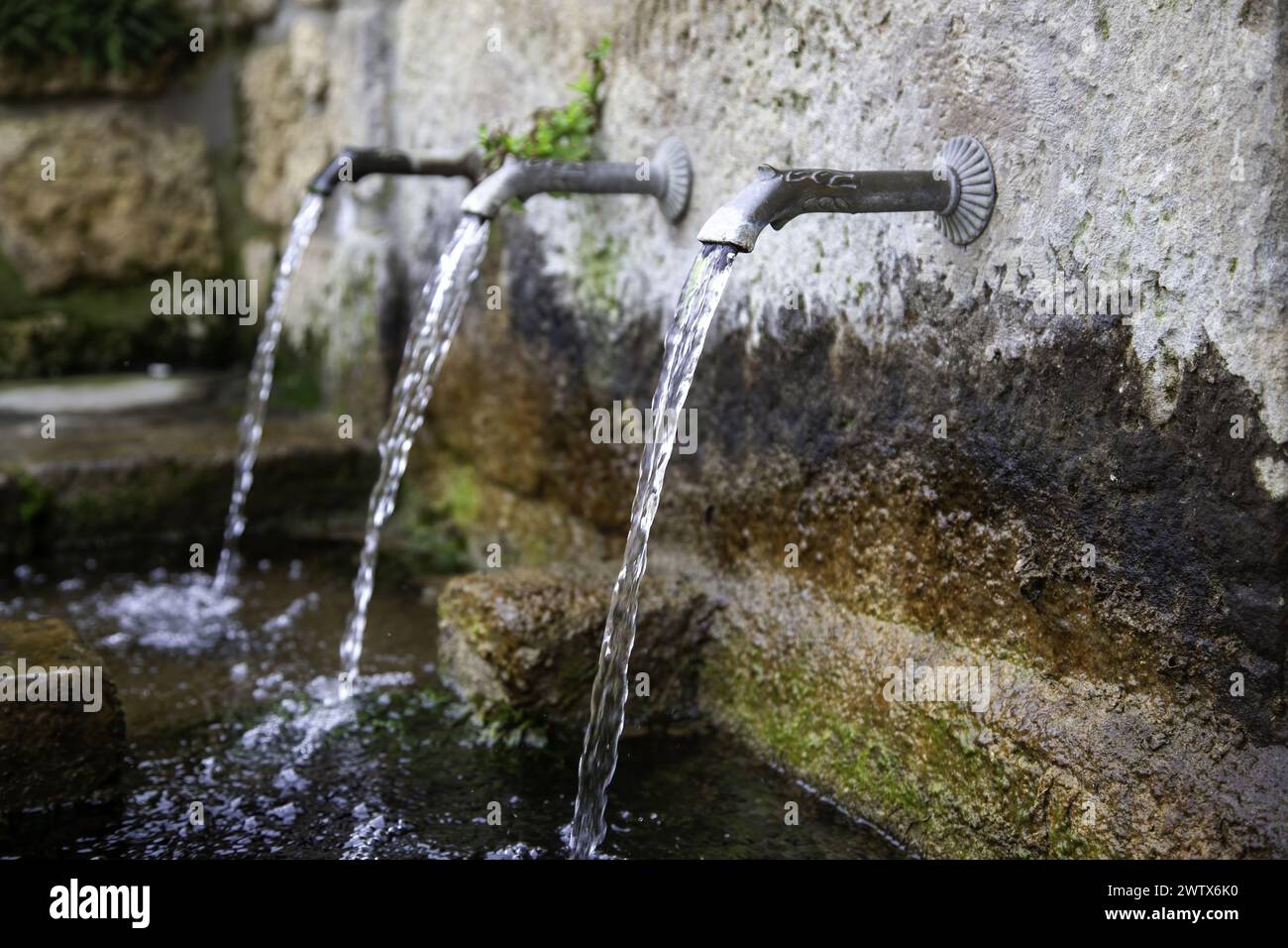 Beautiful backyard landscaping stream water hi-res stock photography ...