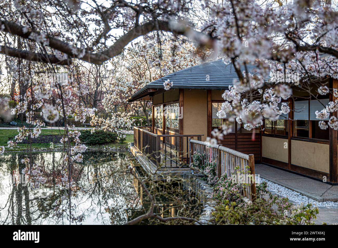 Impressions of the Vienna Setagaya Park-Japanese Garden, which was ...