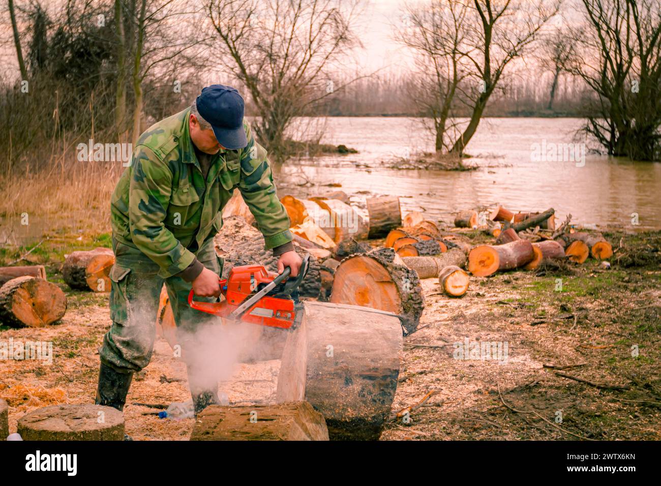 Lumberjack is chopping, split large tree trunks, using professional ...
