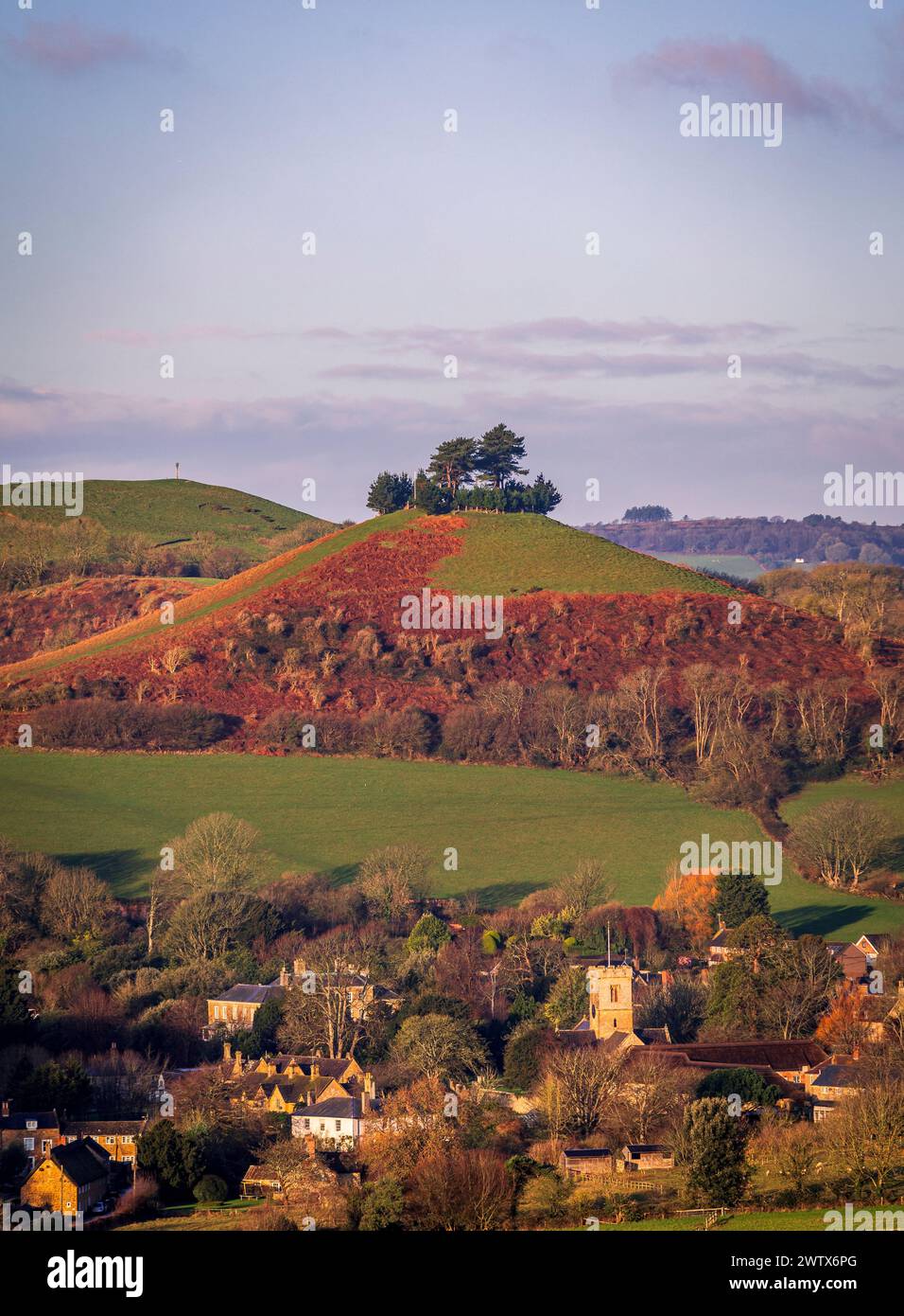 The views of Colmers Hill from the top of Allington Hill near Bridport ...