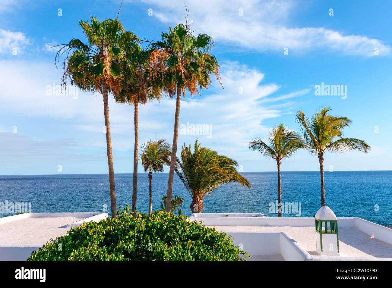 Palm trees on the terrace of the house on the background of the sea ...