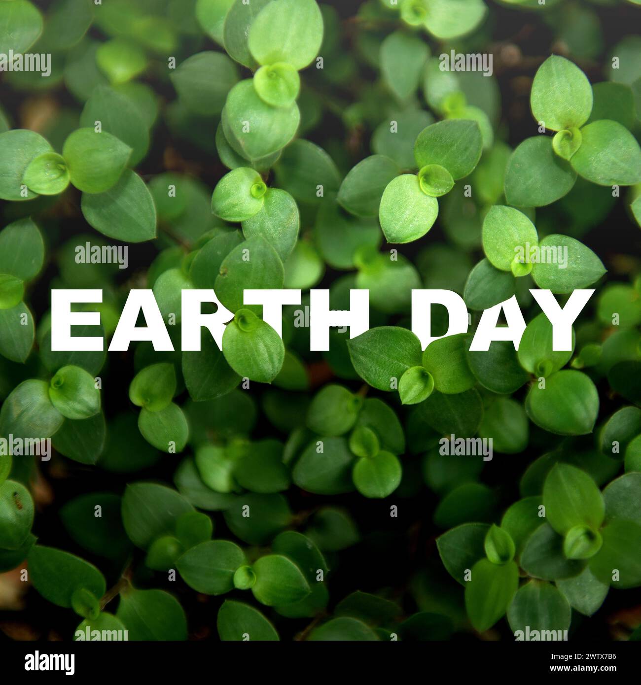 Closeup view of green leaves with Earth Day message. Earth day concept ...