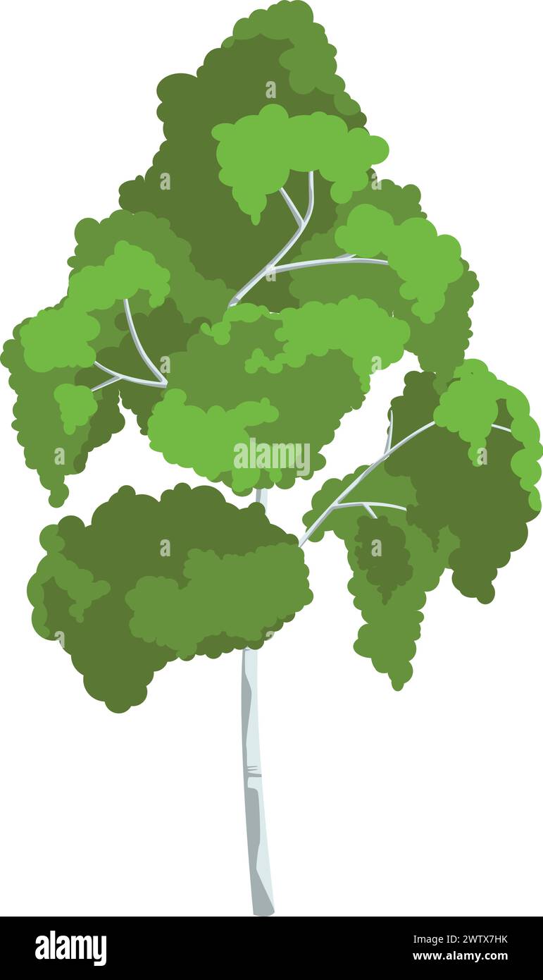 Birch tree image Stock Vector Images - Alamy