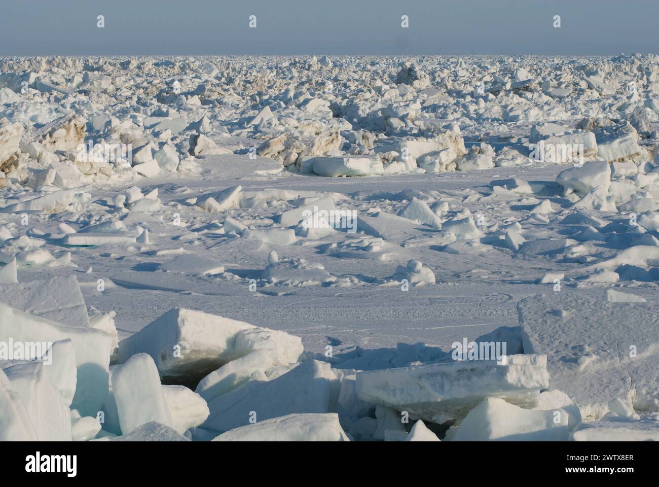 Seascape of rough pack ice over the Chukchi sea in springtime, off ...