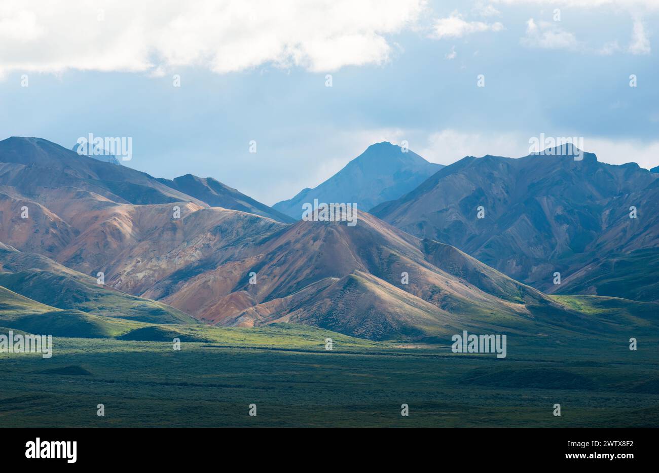 Mountains and meadows along the Denali Park Road. Denali National Park ...
