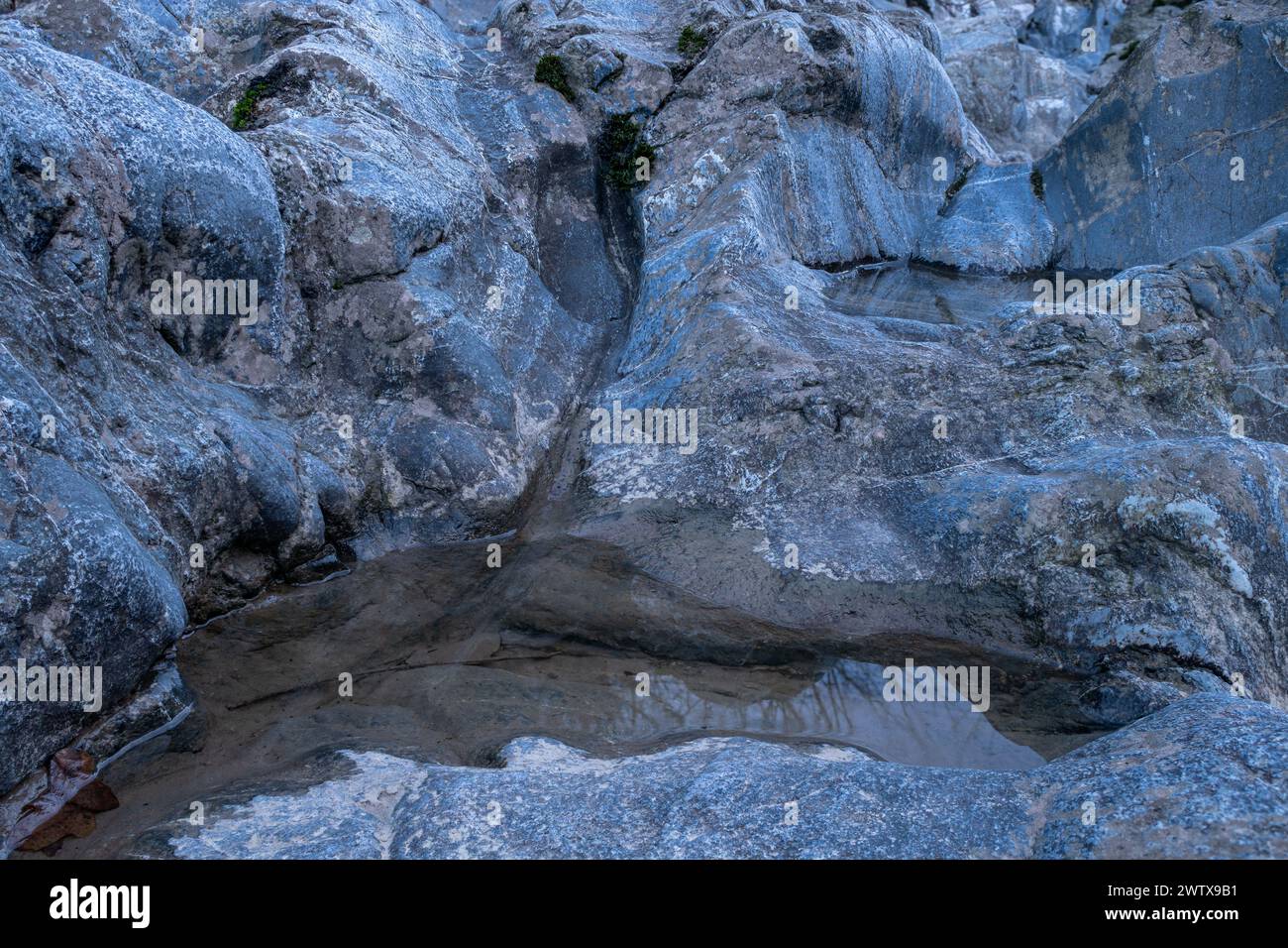 Small puddle in blue rock close up, dent in stone filled with water ...