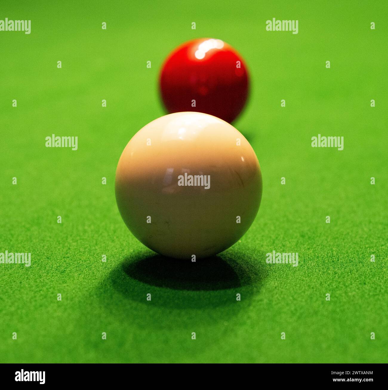 Red and white snooker balls on the green baize of a snooker table; a ...