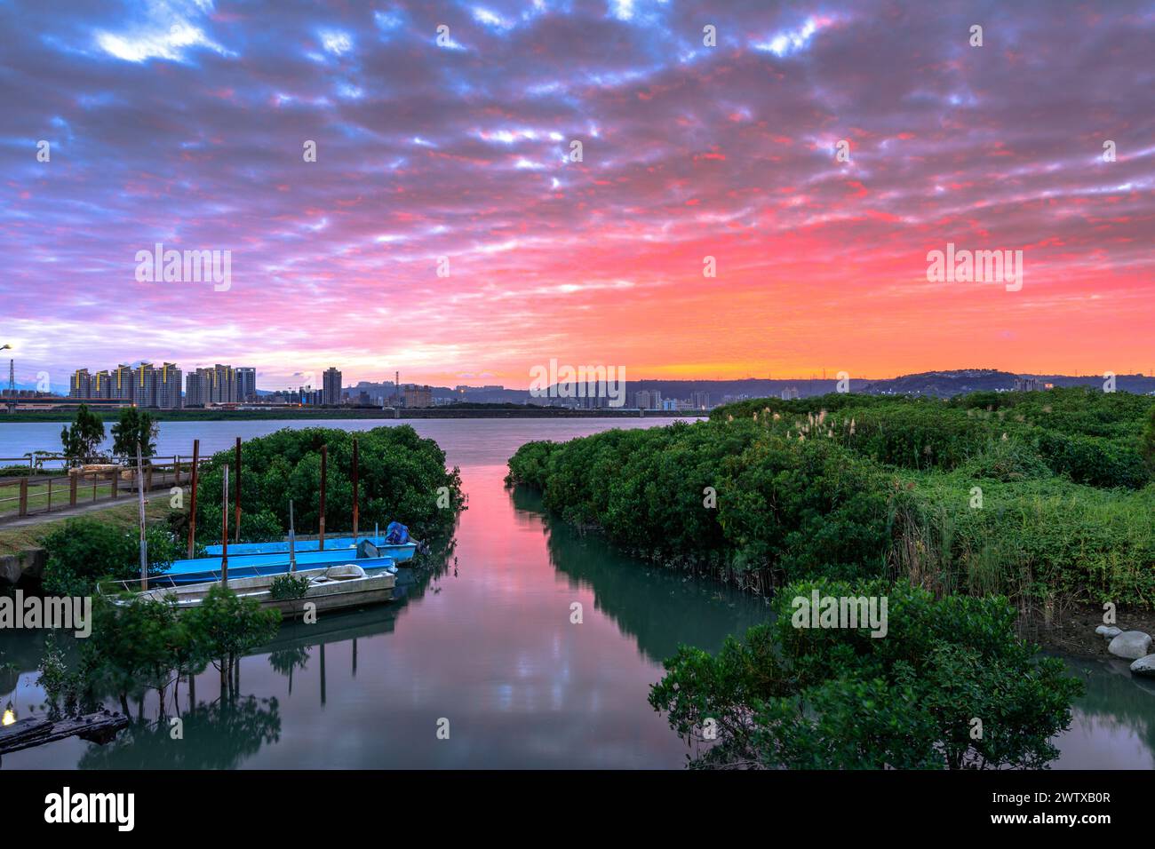 Sunset with fiery clouds at a small dock among mangrove forest in ...