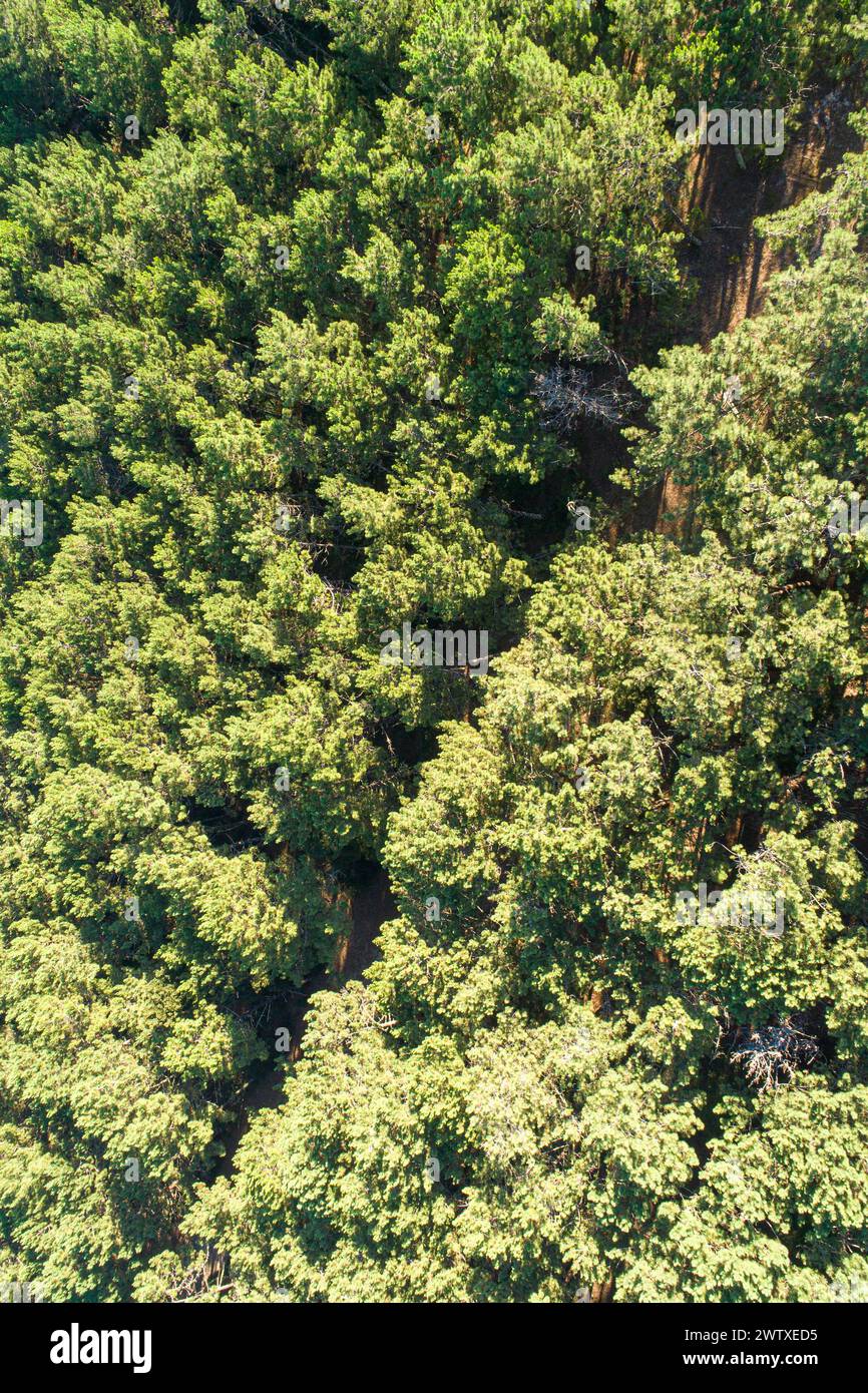 Aerial conservation view hi-res stock photography and images - Alamy