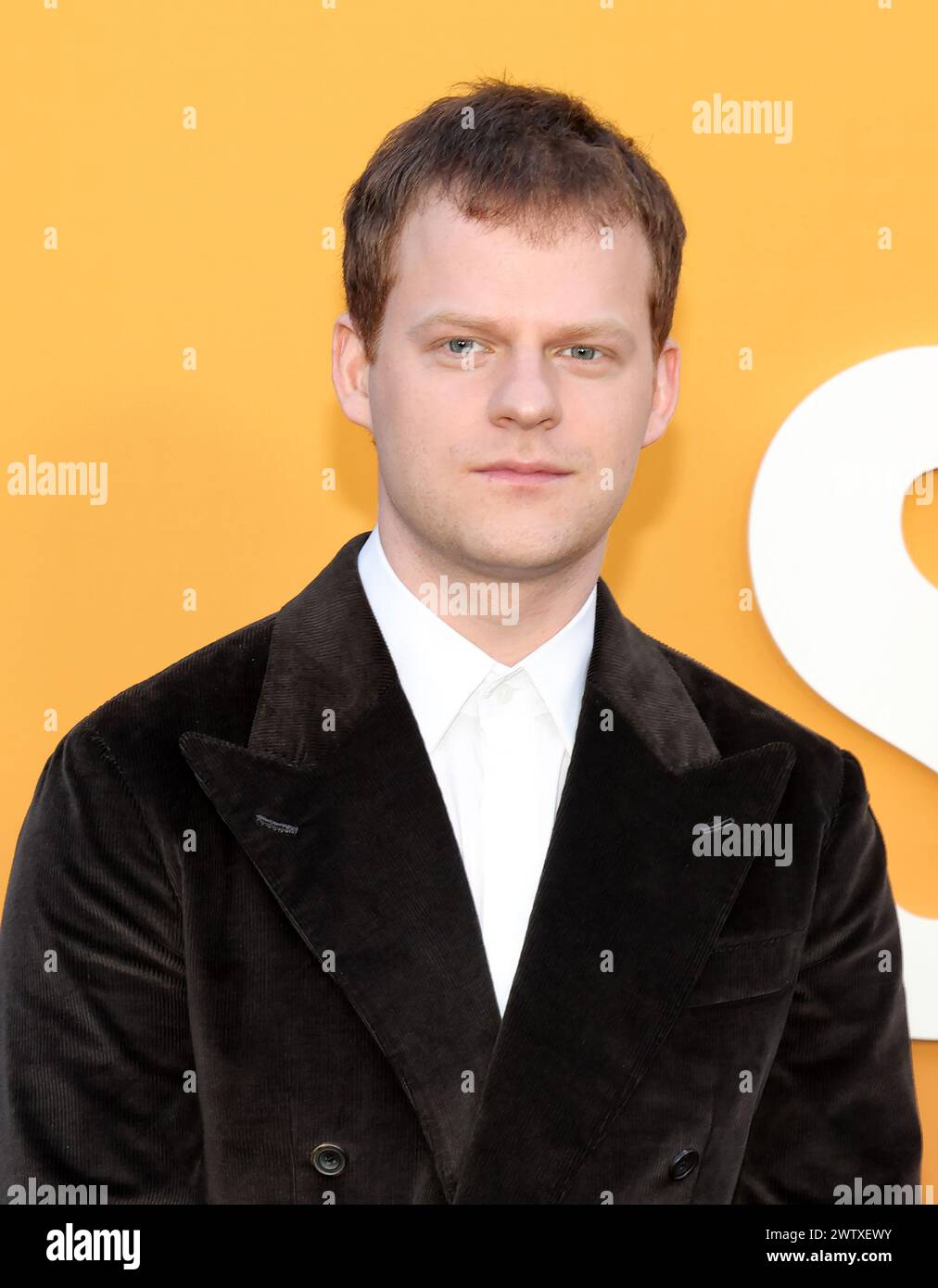 Los Angeles, Ca. 19th Mar, 2024. Lucas Hedges at the LA premiere of ...