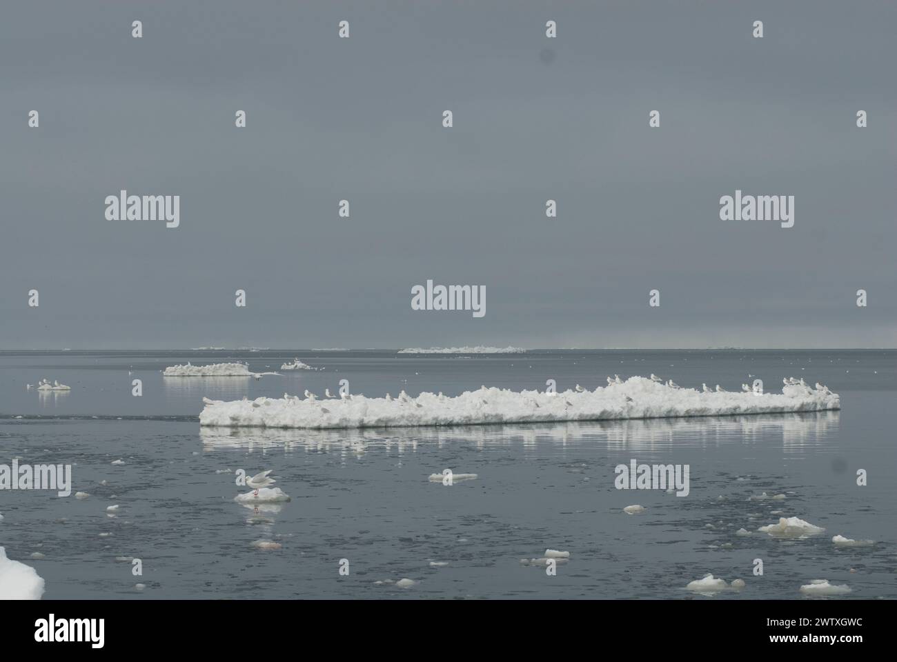 Seascape open lead rough pack ice over the Chukchi sea in springtime ...