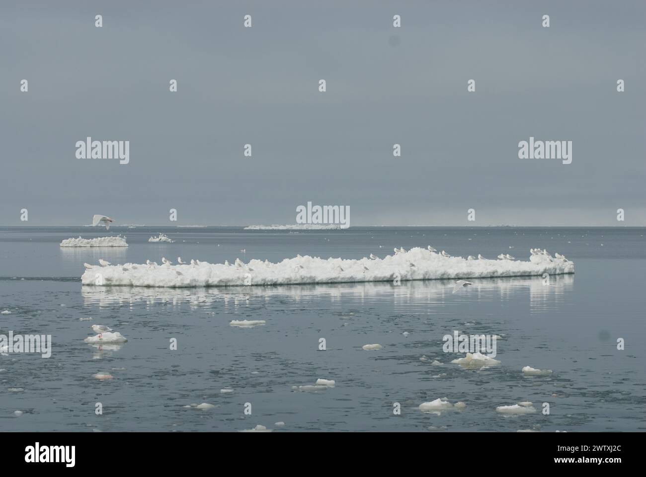 Seascape open lead rough pack ice over the Chukchi sea in springtime ...