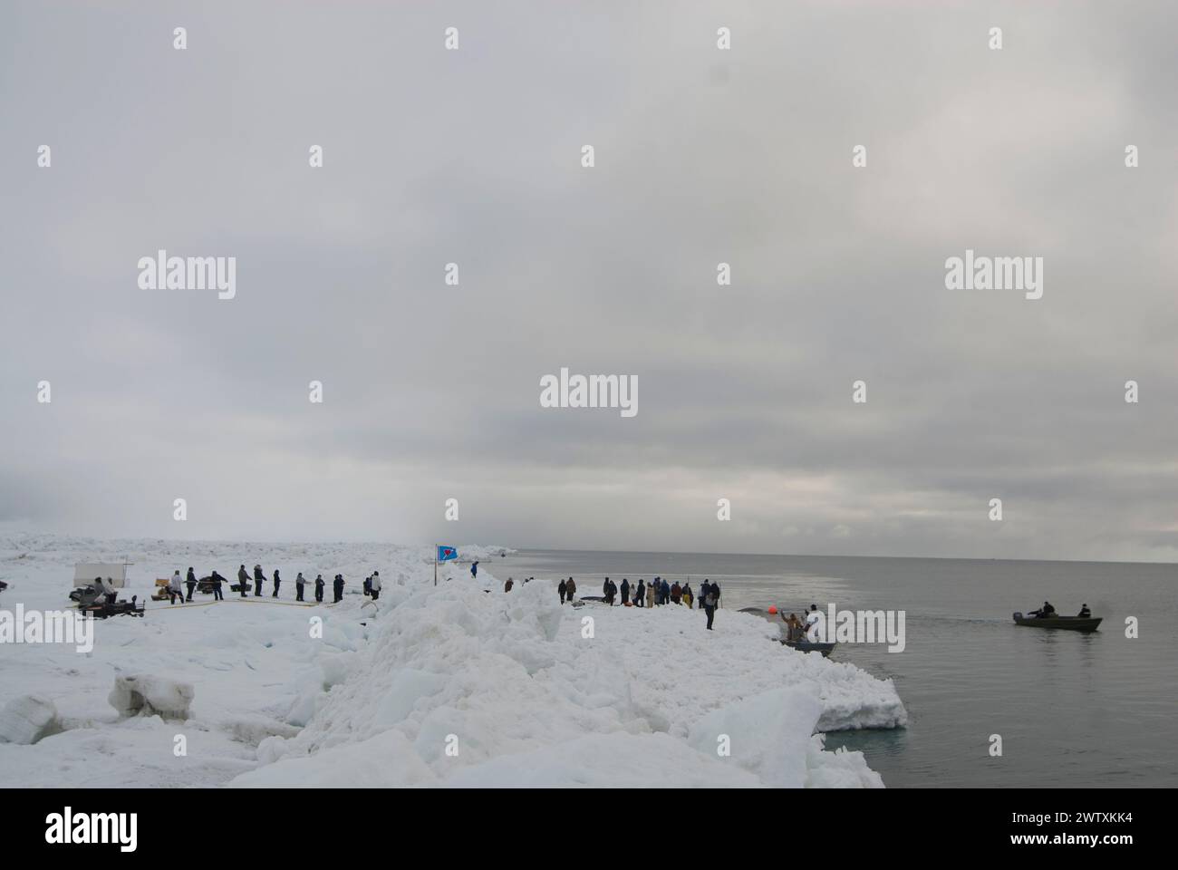 Inupiaq subsistence whalers bowhead whale catch on the pack ice during ...