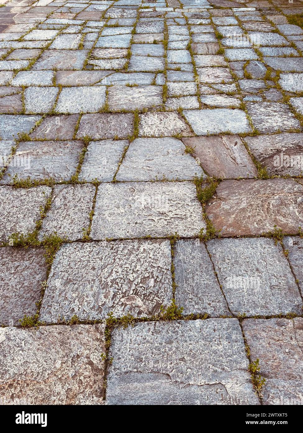 Brick walk grass hi-res stock photography and images - Alamy