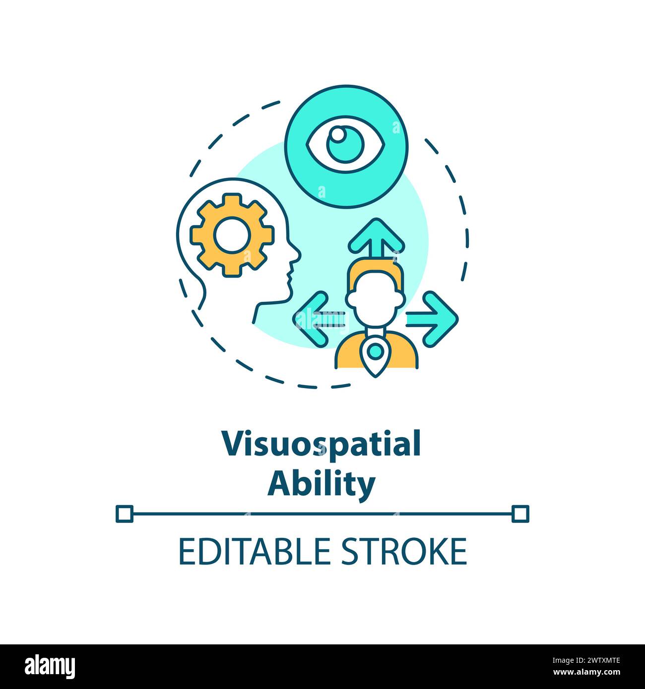 Visuospatial ability hi-res stock photography and images - Alamy