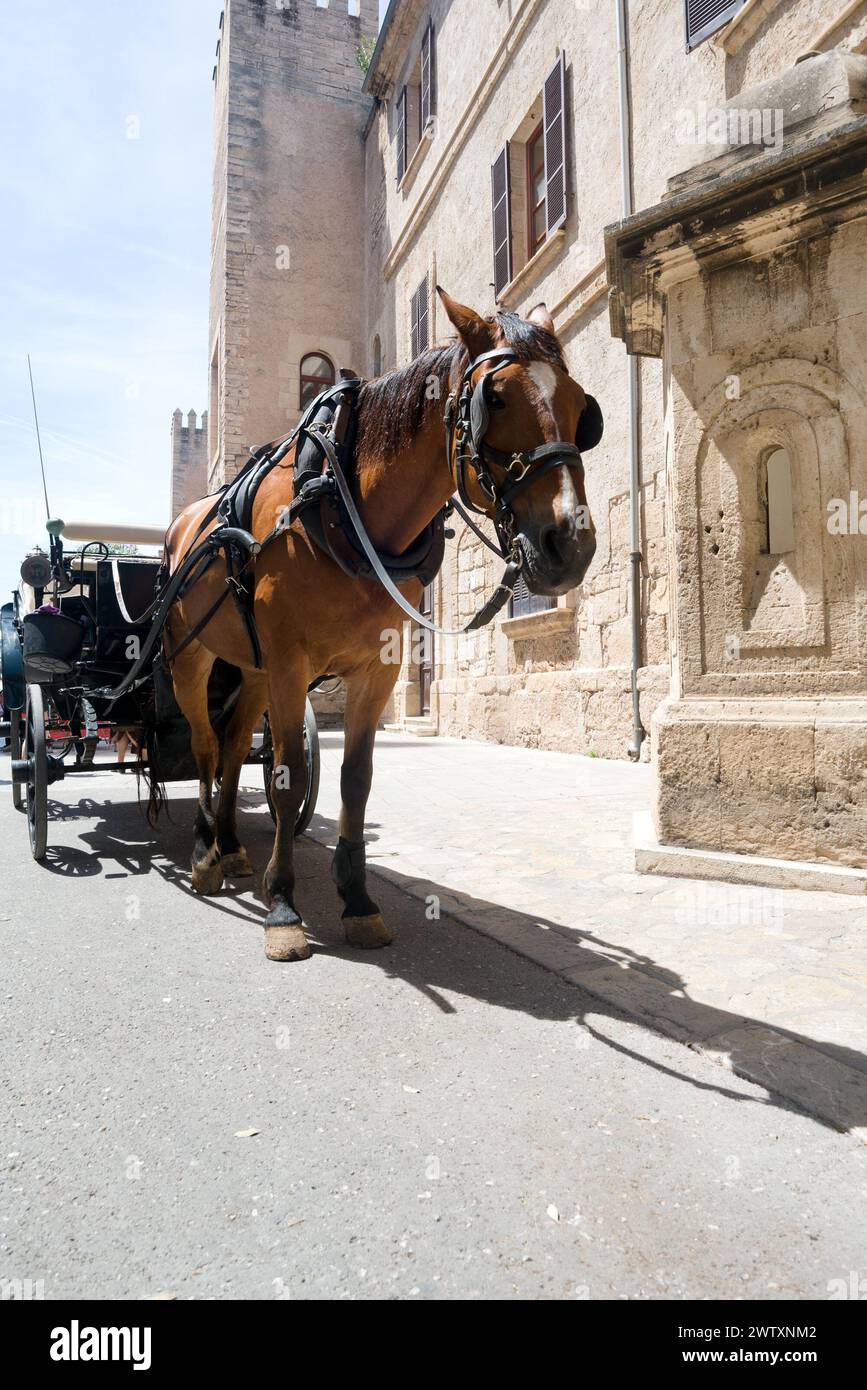 Horse and carriage against medieval building Stock Photo - Alamy