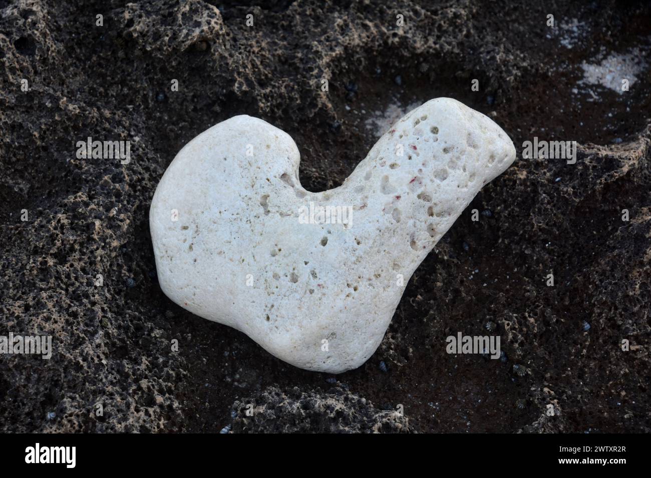 Black lava rock heart hi-res stock photography and images - Alamy