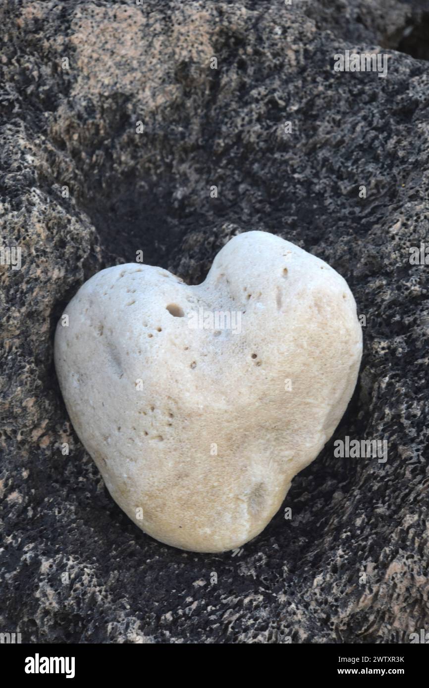 Beautiful white naturally rounded stone shaped like a heart Stock Photo ...