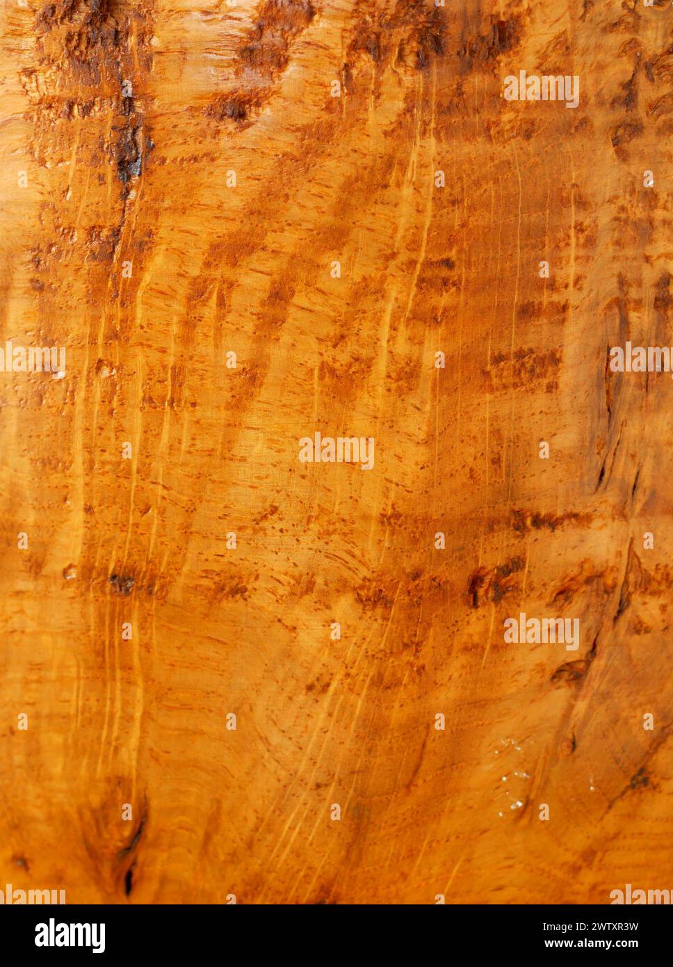 Oak wood grain hi-res stock photography and images - Alamy