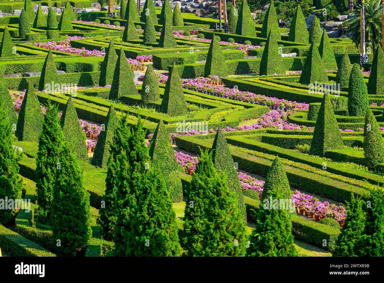 View of the garden labyrinth trees hedge and pyramid shaped trees ...