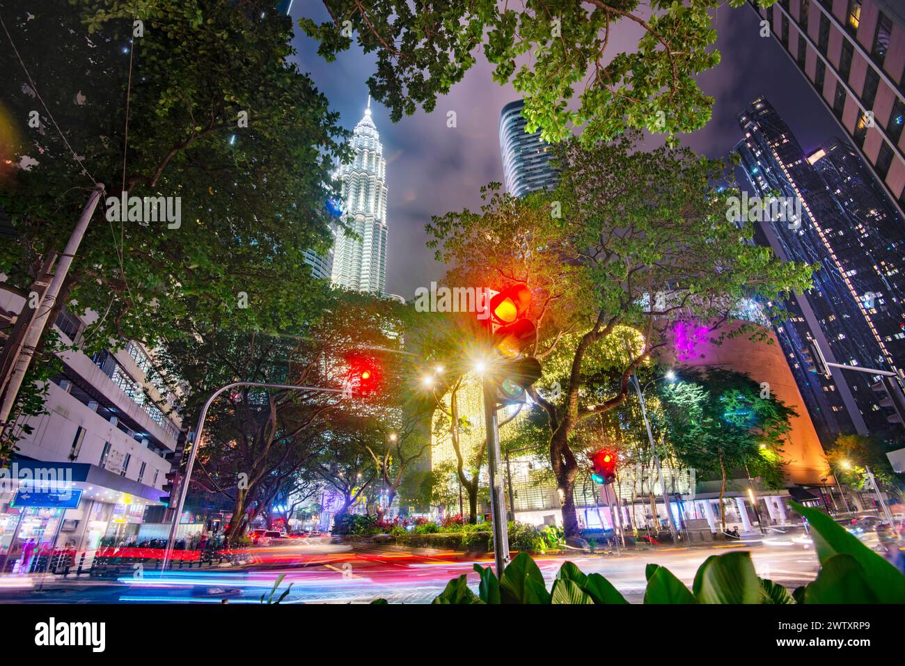 Clouds illuminated by bright lights from high buildings,busy bustling city life,framed by trees ...