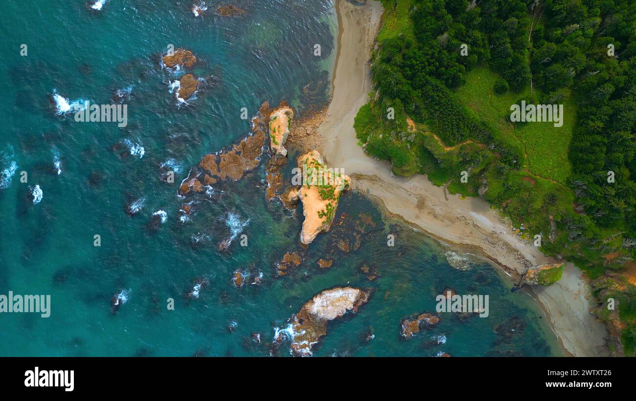 Top view of coast with rocks in water and forest. Clip. Amazing nature ...