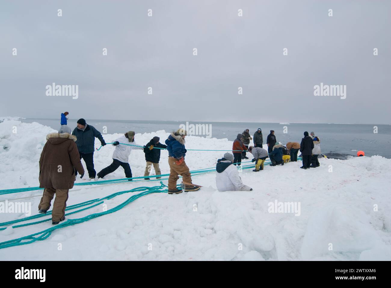 Block and tackel hi-res stock photography and images - Alamy