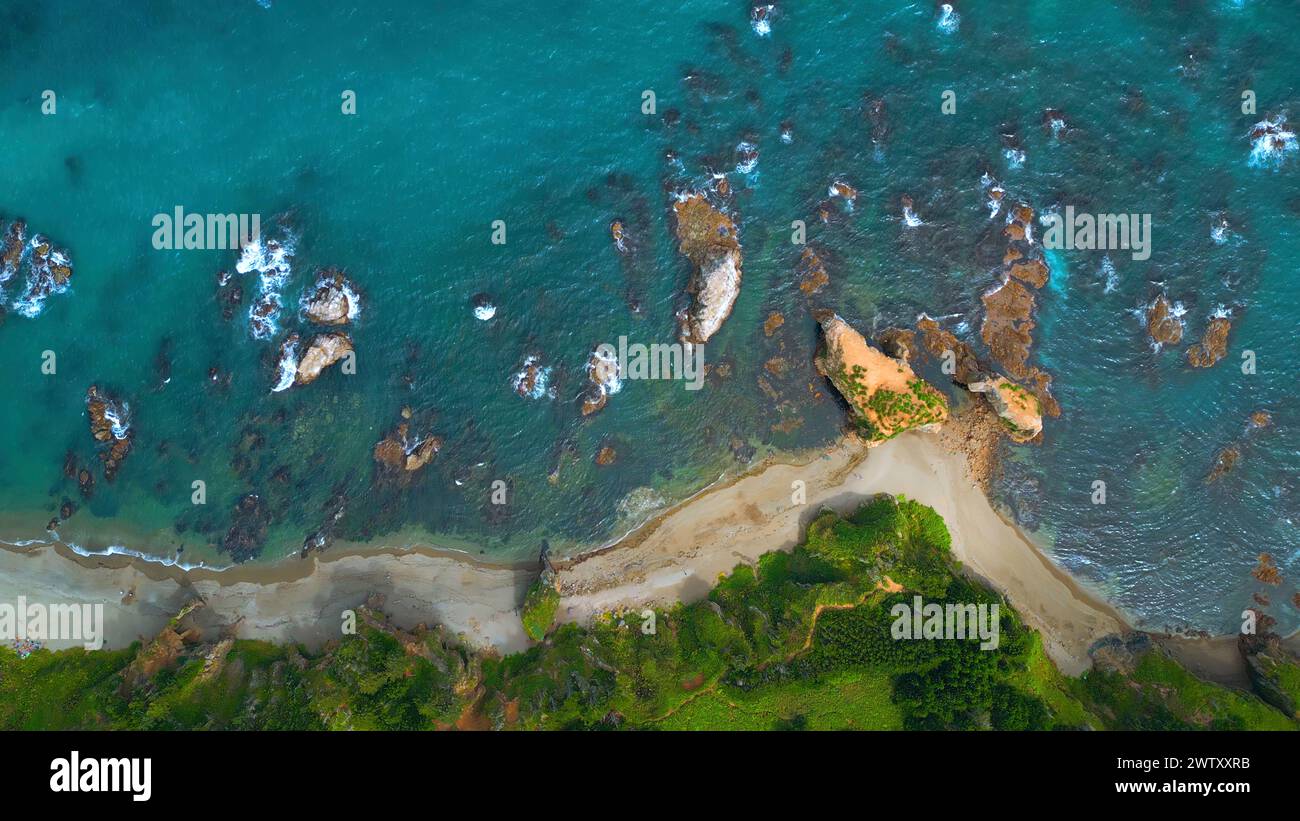 Top view of coast with rocks in water and forest. Clip. Amazing nature ...