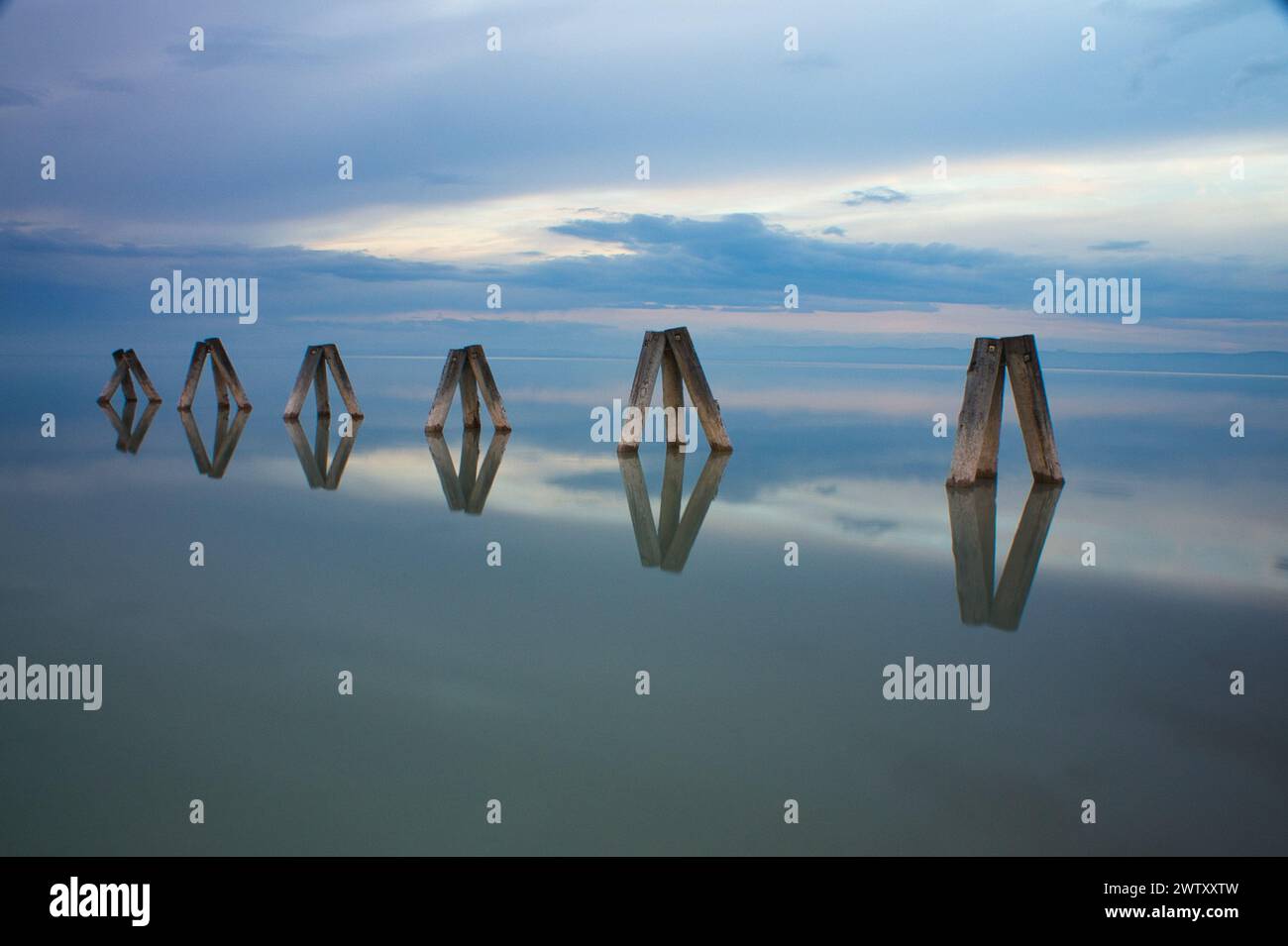 Wooden posts in water in an empty pond Stock Photo - Alamy