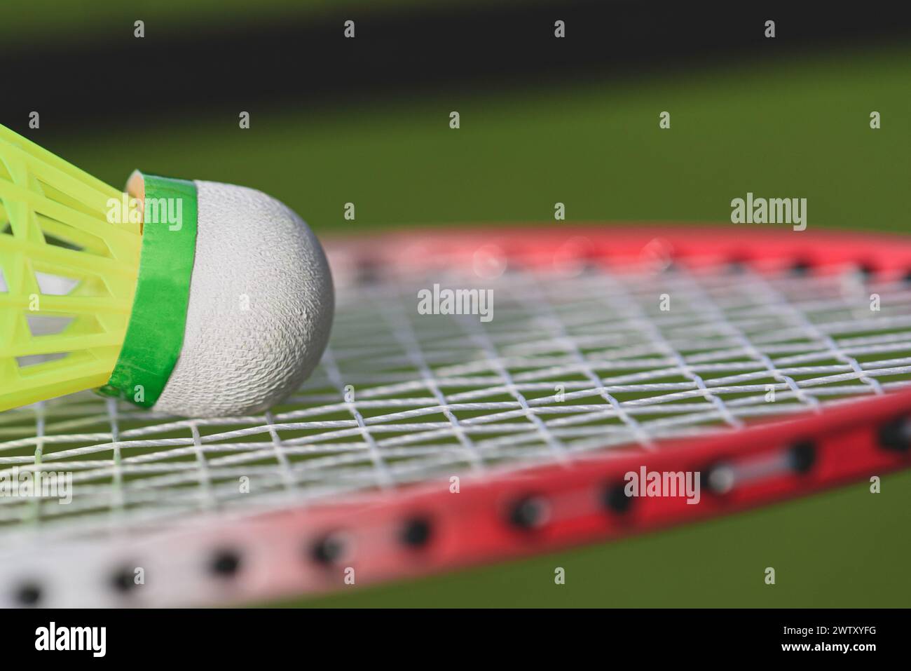 Closeup background with badminton shuttlecock on a racket Stock Photo ...