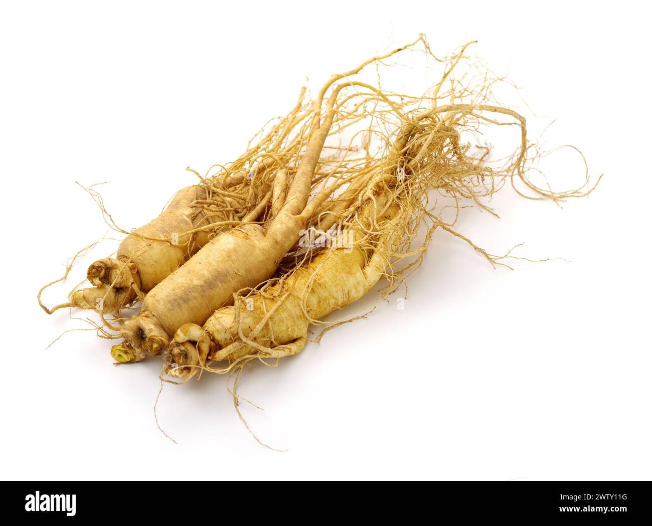 ginseng isolated on white background Stock Photo - Alamy