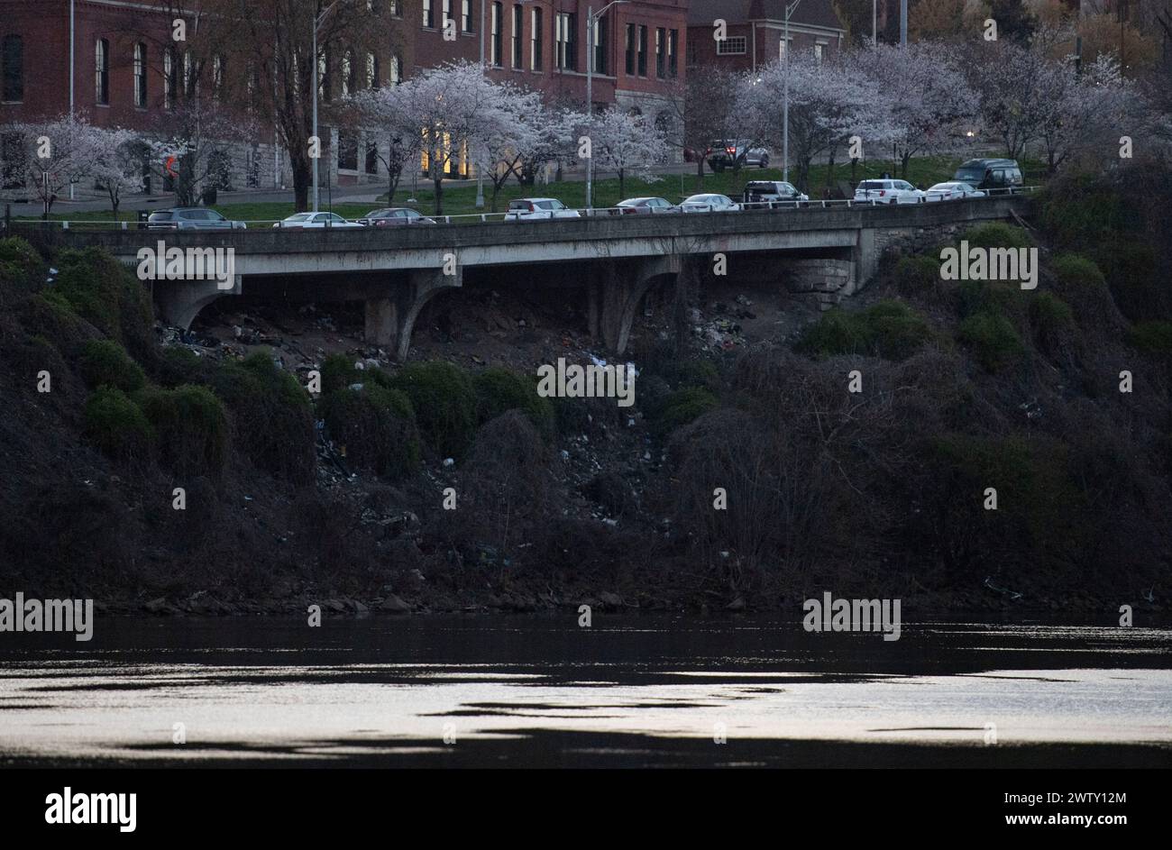 Riley strain hi-res stock photography and images - Alamy