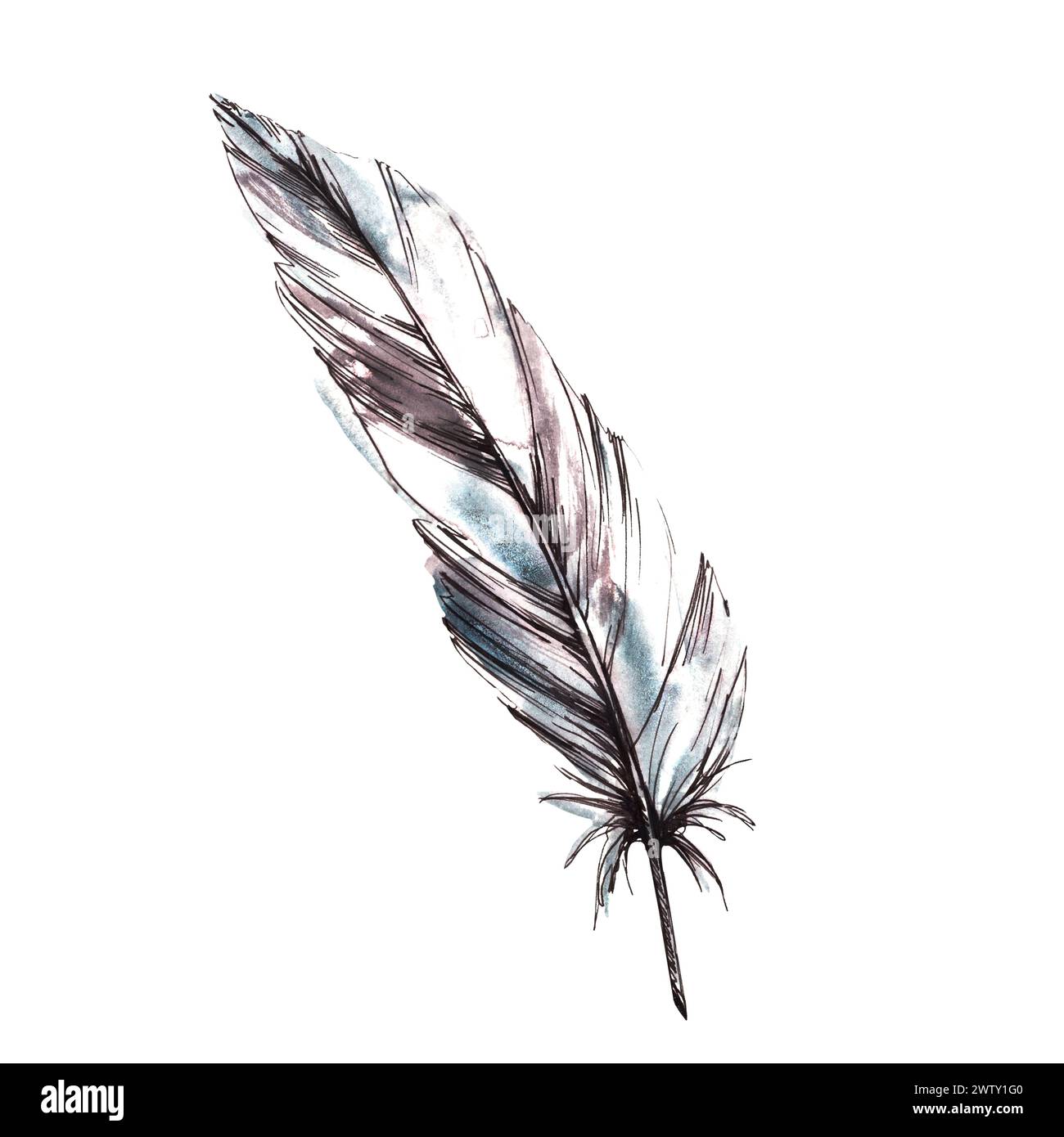 Monochrome black grey bird feather with ink graphic line, hand drawing ...
