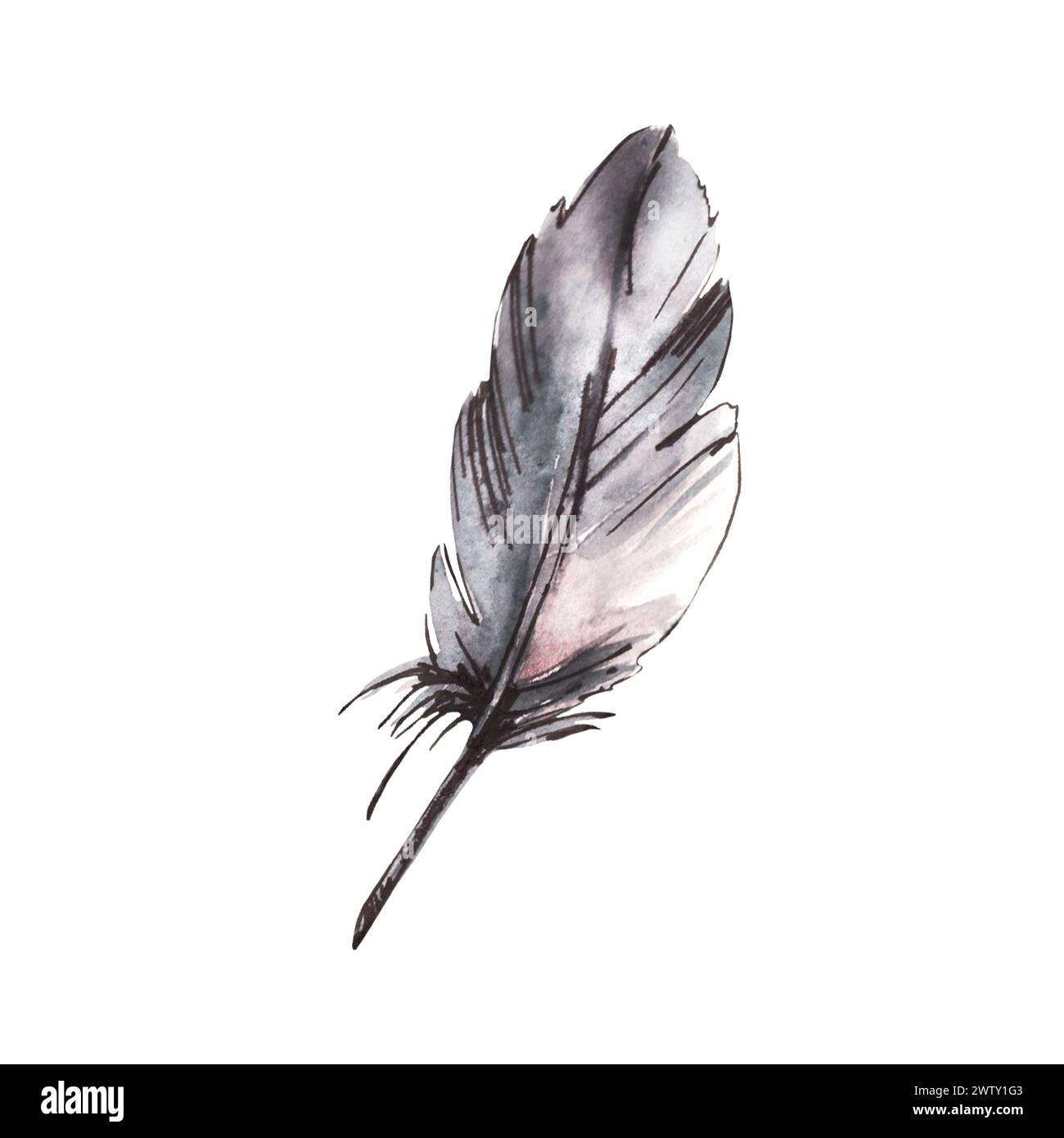 Monochrome black grey bird feather with ink graphic line, hand drawing ...