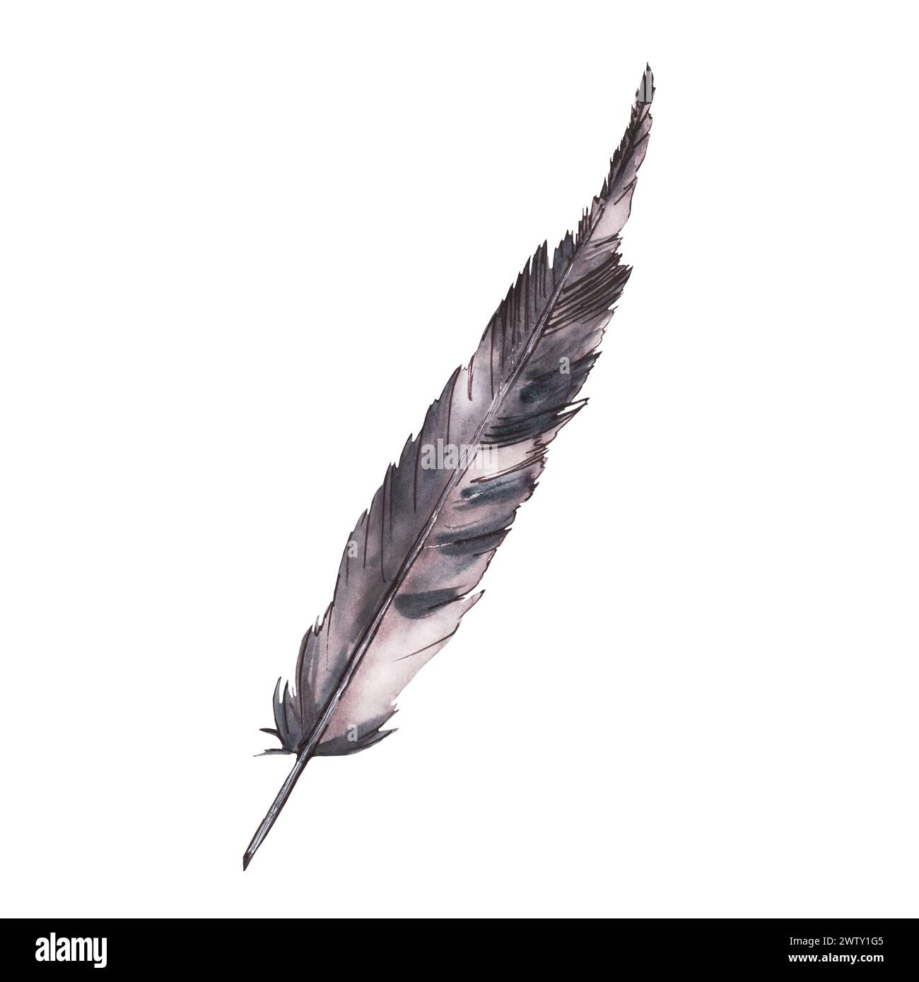 Monochrome black grey bird feather with ink graphic line, hand drawing ...