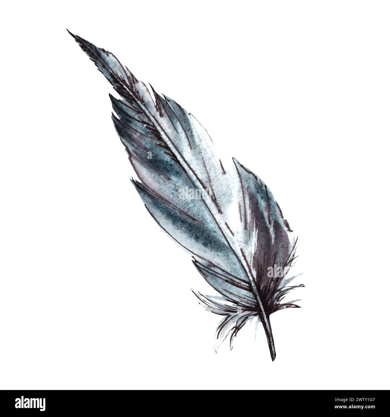 Monochrome black grey bird feather with ink graphic line, hand drawing ...