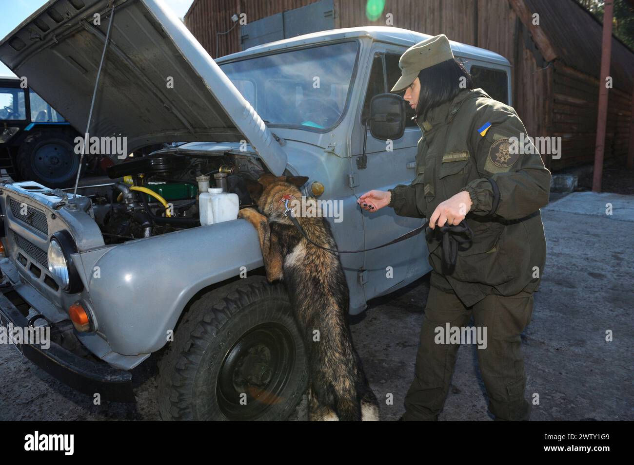 Police handler dog alsatian hi-res stock photography and images - Alamy