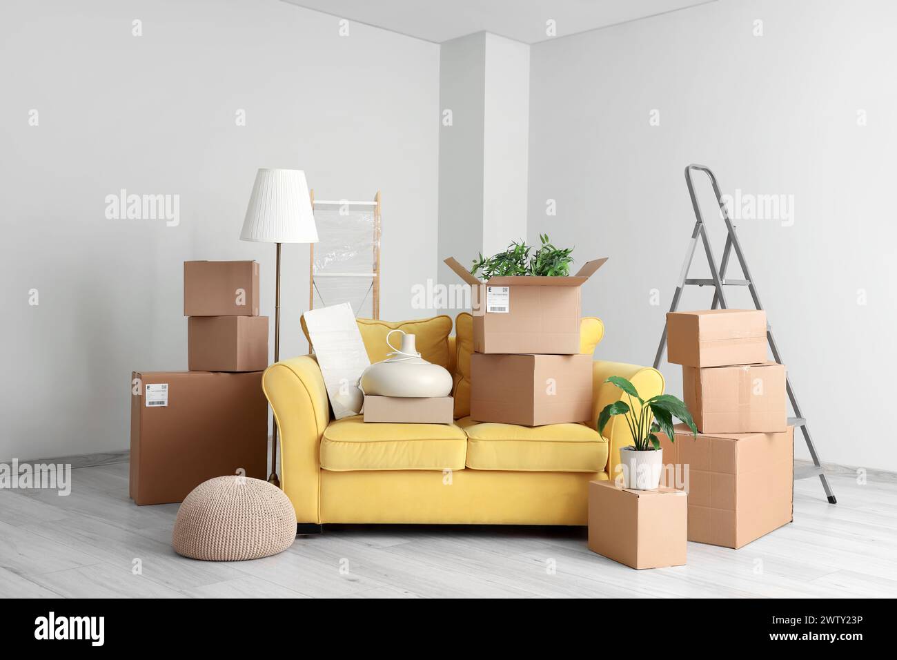 Cardboard boxes and sofa prepared for house moving in light living room ...