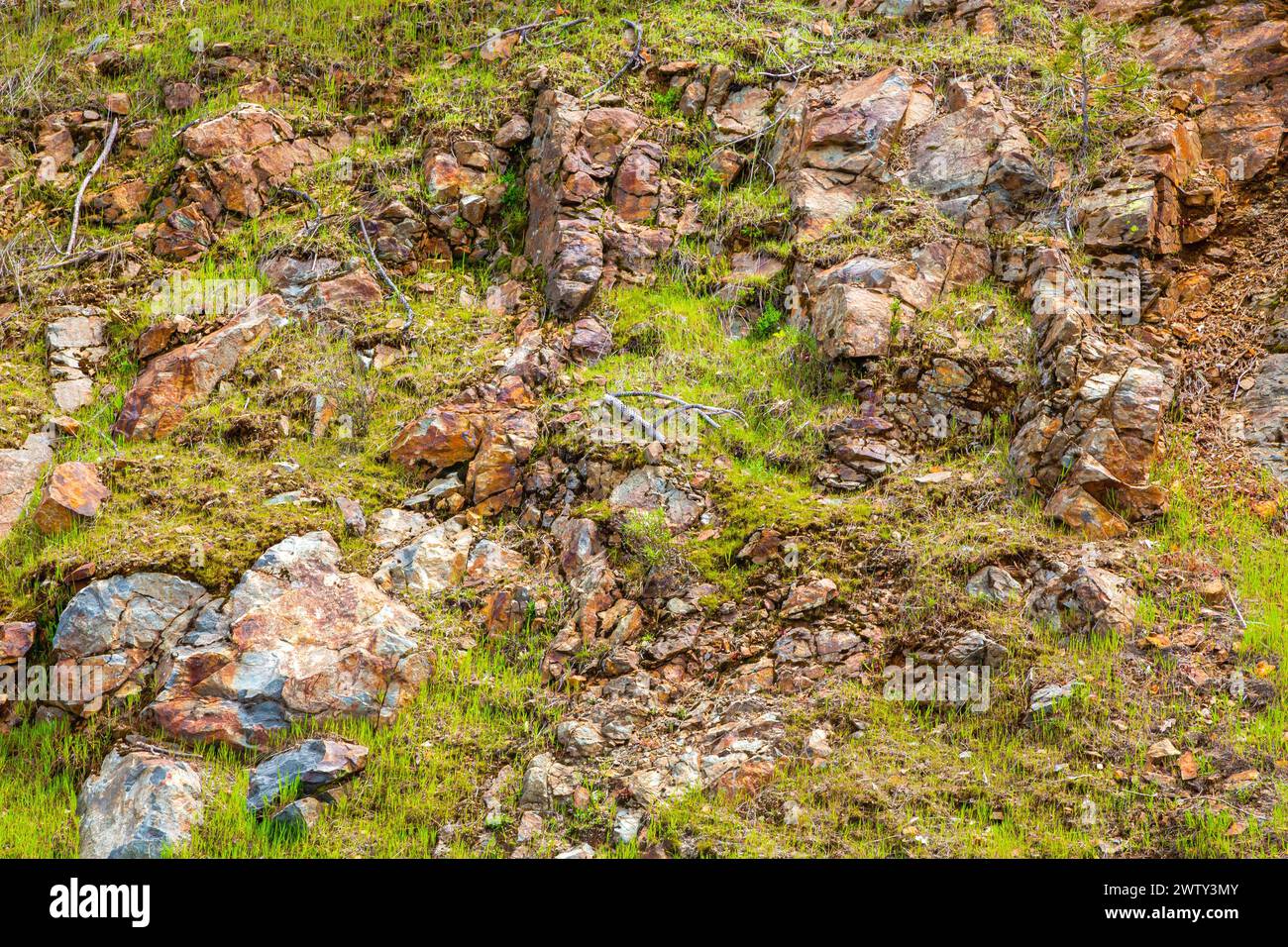 Mountain slope with grass. Rock cliff background, fossil rock. Close up ...