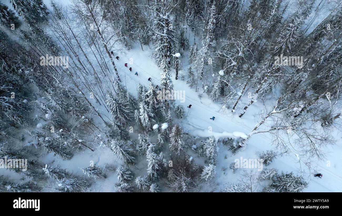 Aerial top down view of group of hikers following one by one the snow ...