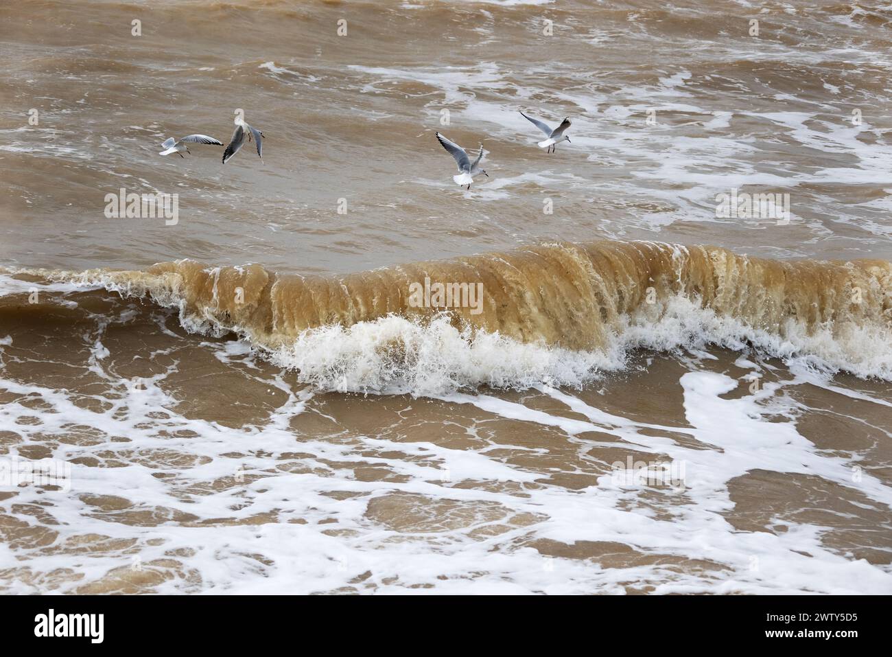 Splashes of sea waves hi-res stock photography and images - Alamy