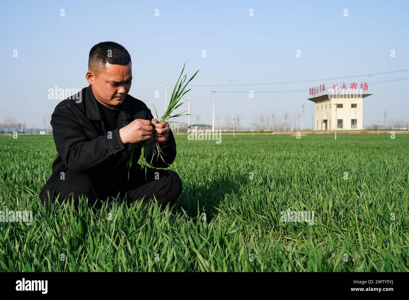 1990s internet hi-res stock photography and images - Alamy