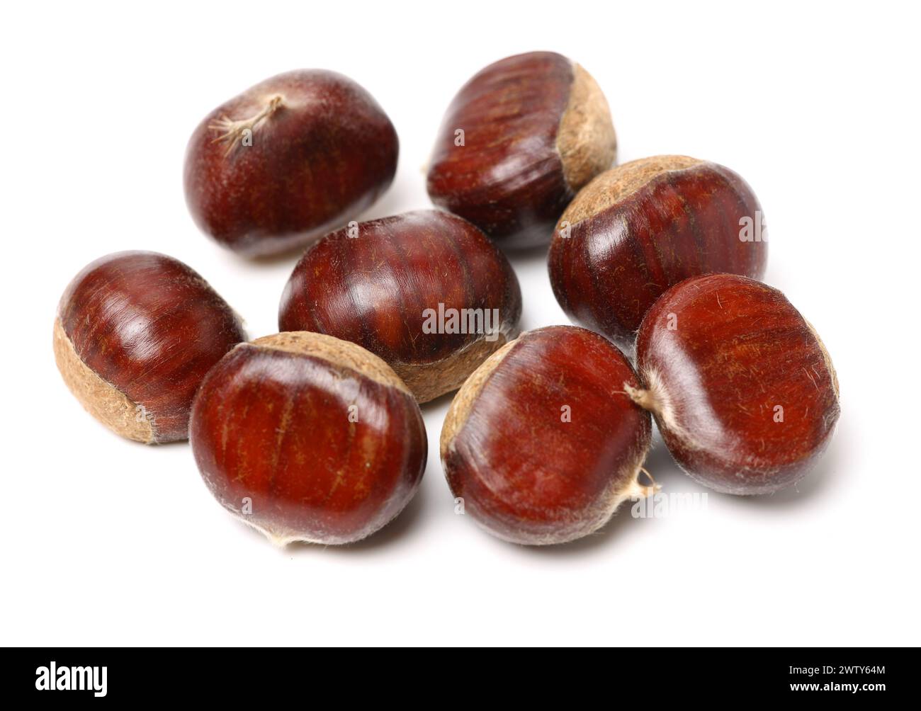 Sweet chestnut on white background Stock Photo - Alamy