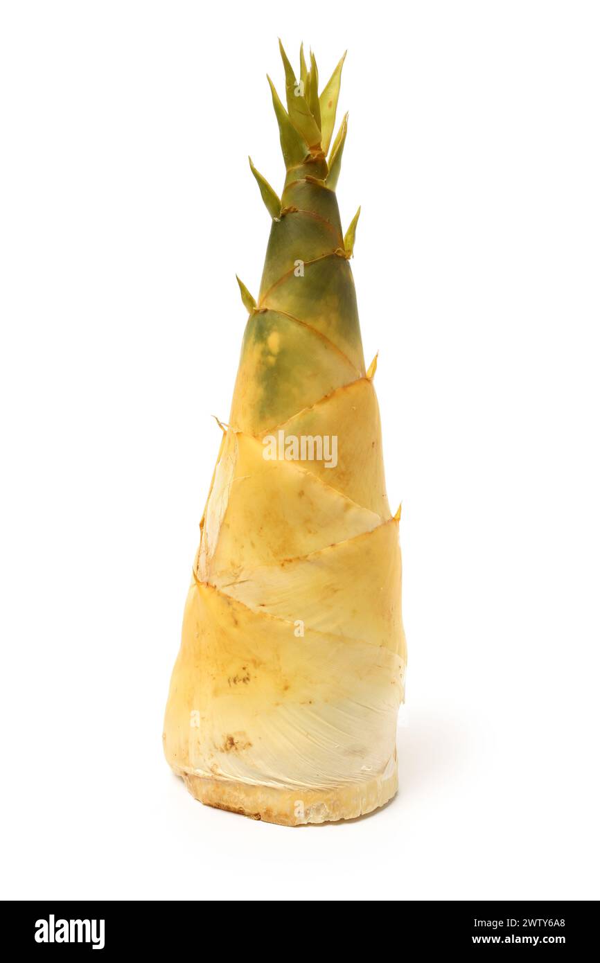 Bamboo shoot on the white background Stock Photo - Alamy
