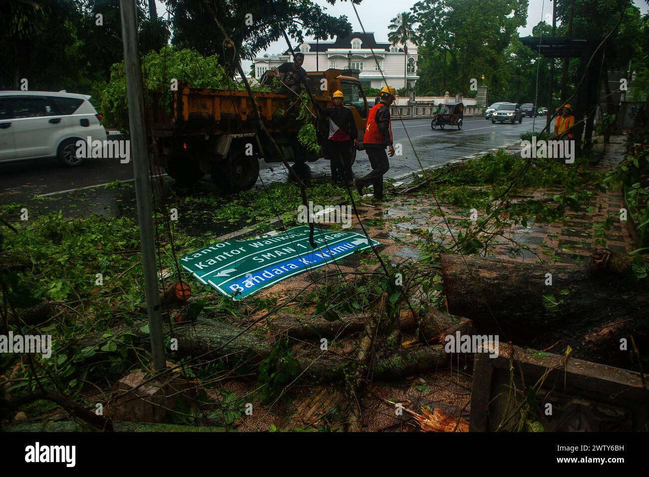 Officers cut trees that fell due to extreme weather in Medan City ...
