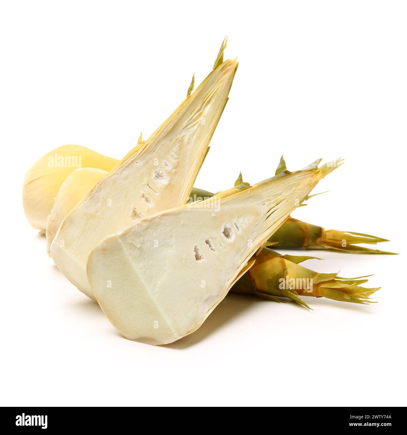 Bamboo shoot on the white background Stock Photo - Alamy