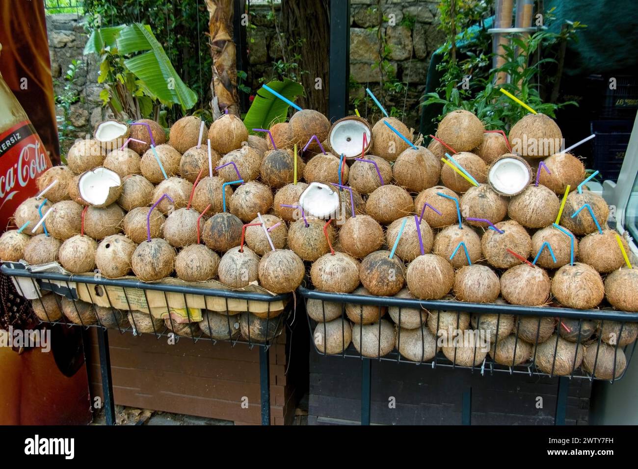 Coconut showcase hi-res stock photography and images - Alamy