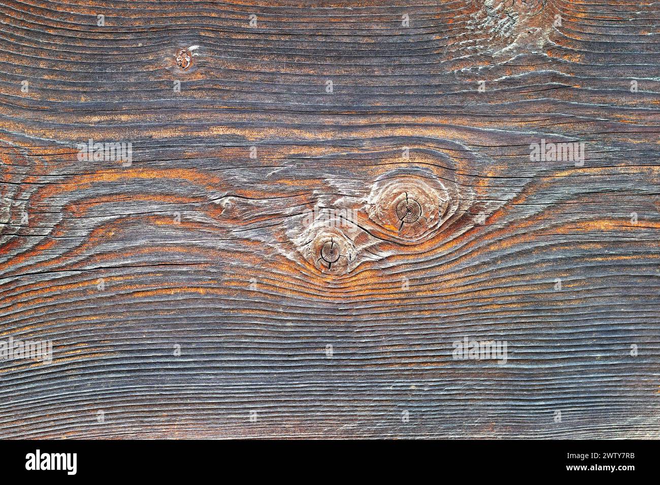 spruce plank detailed texture ready for your design Stock Photo - Alamy