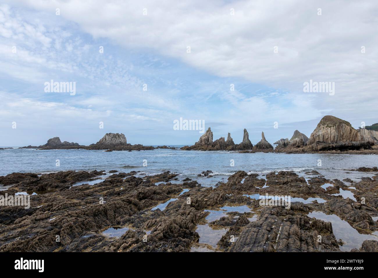Shoreline environment hi-res stock photography and images - Alamy