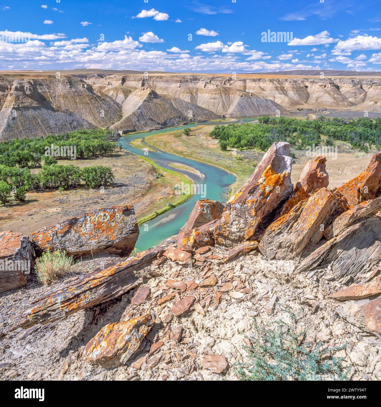 lichen-covered boulders and badlands above the marias river valley near ...